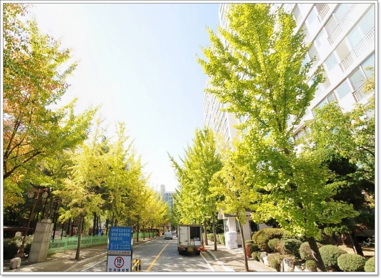 '이매동 아름마을풍림5단지'의 매매, 전세, 월세, 후기 | 집품